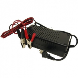 36 Volt Battery Chargers | 36V Battery Charger